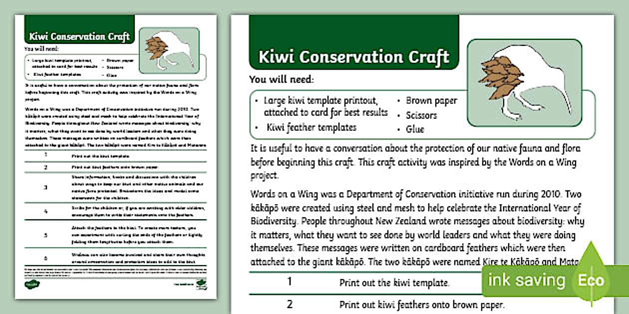 Kiwi Conservation Craft - Twinkl