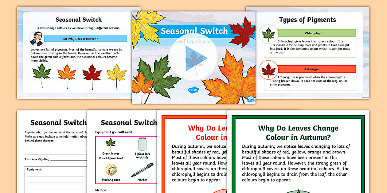 Seasonal Switch Leaf Experiment Activity Pack