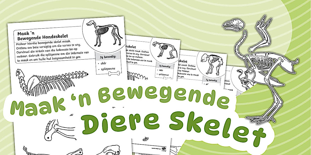 Maak 'n Bewegende Diere Skelet - Aktiwiteit