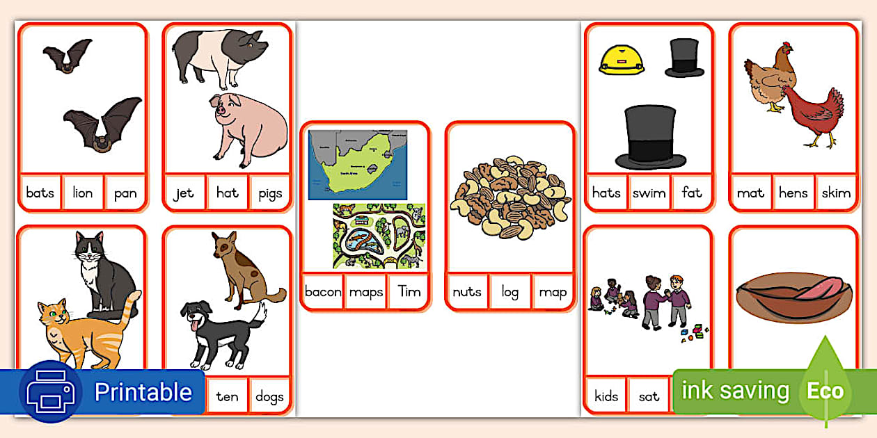 Grade 1 Phonics: -s sound peg card activity (teacher made)