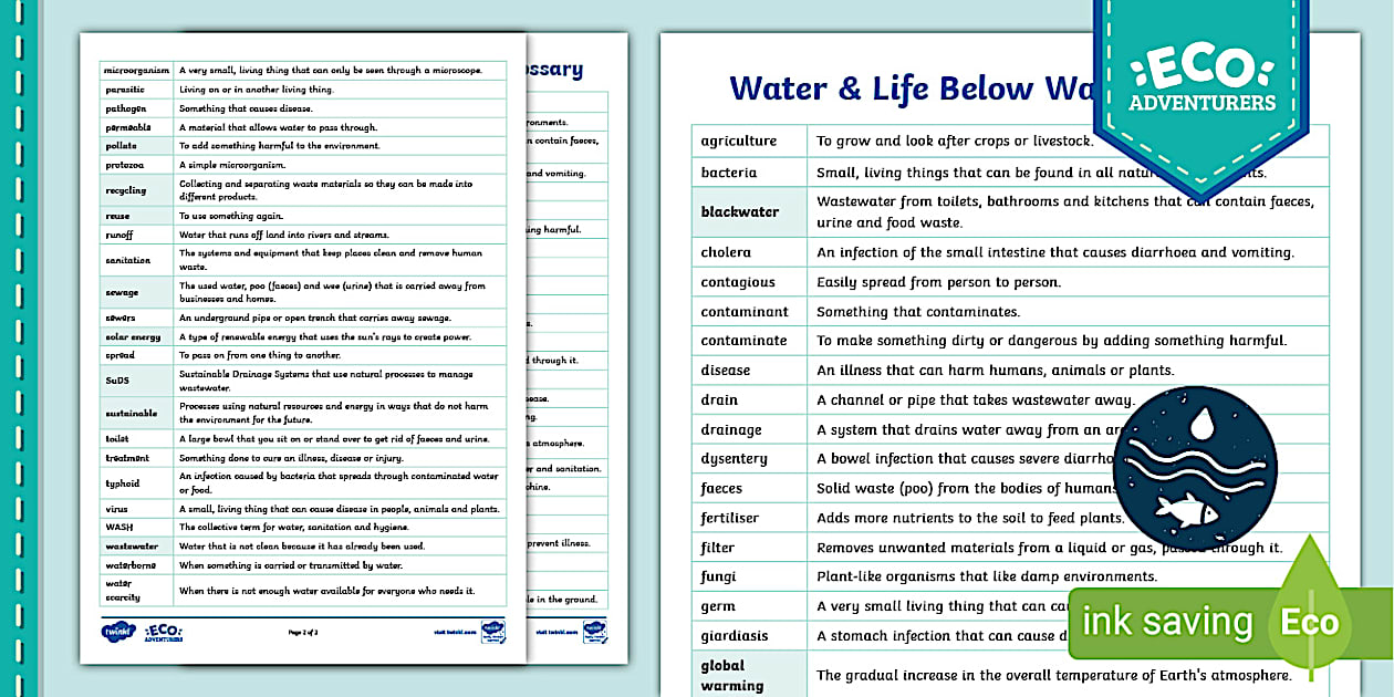 Year 5 water & Life Below Water: Key Vocabulary Glossary