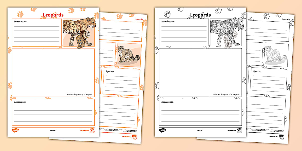 Leopards Non-Chronological Report Template