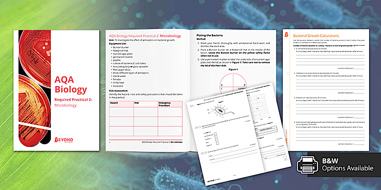 Growth in Bacteria | KS4 Science | Beyond Secondary - Twinkl