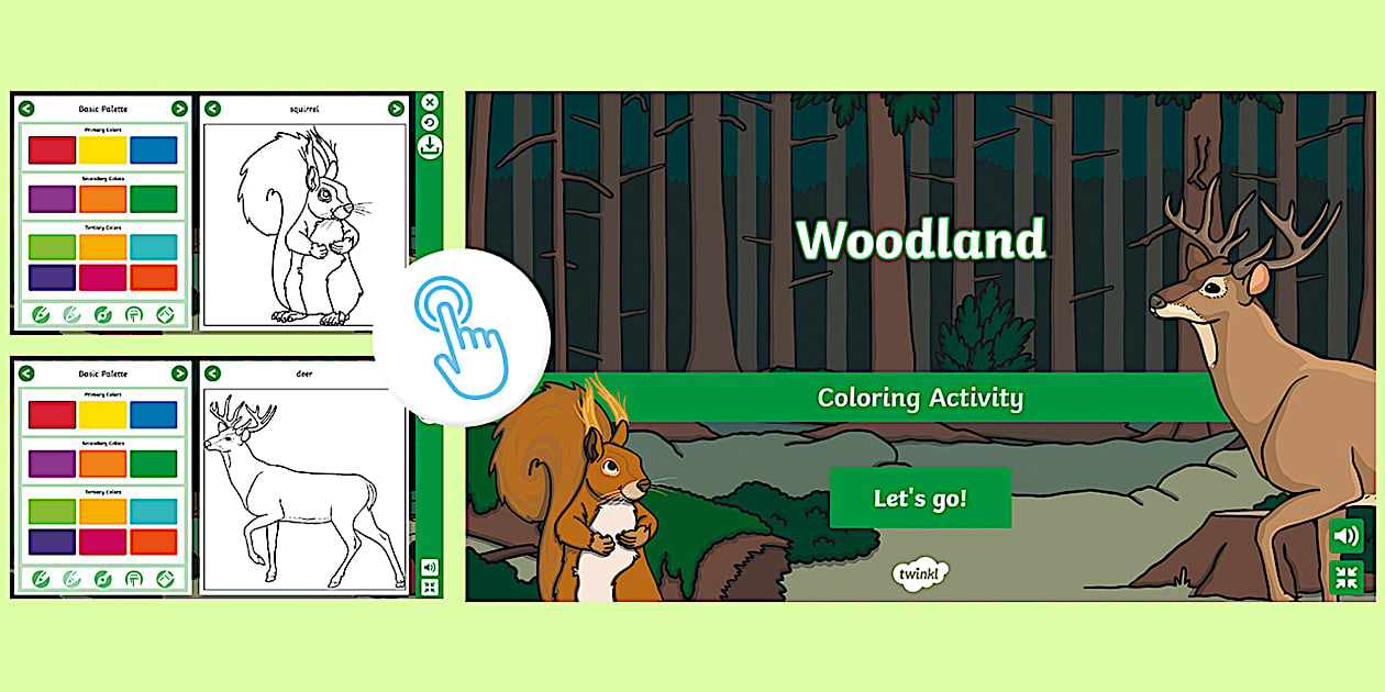Woodland Interactive Coloring Worksheet (teacher made)