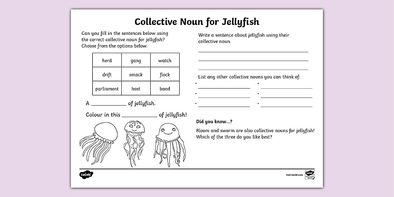 Collective Name for Jellyfish Worksheet (Teacher-Made)