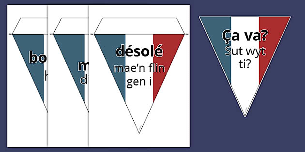 Baneri Arddangos Geiriau Ffrengig (teacher made) - Twinkl