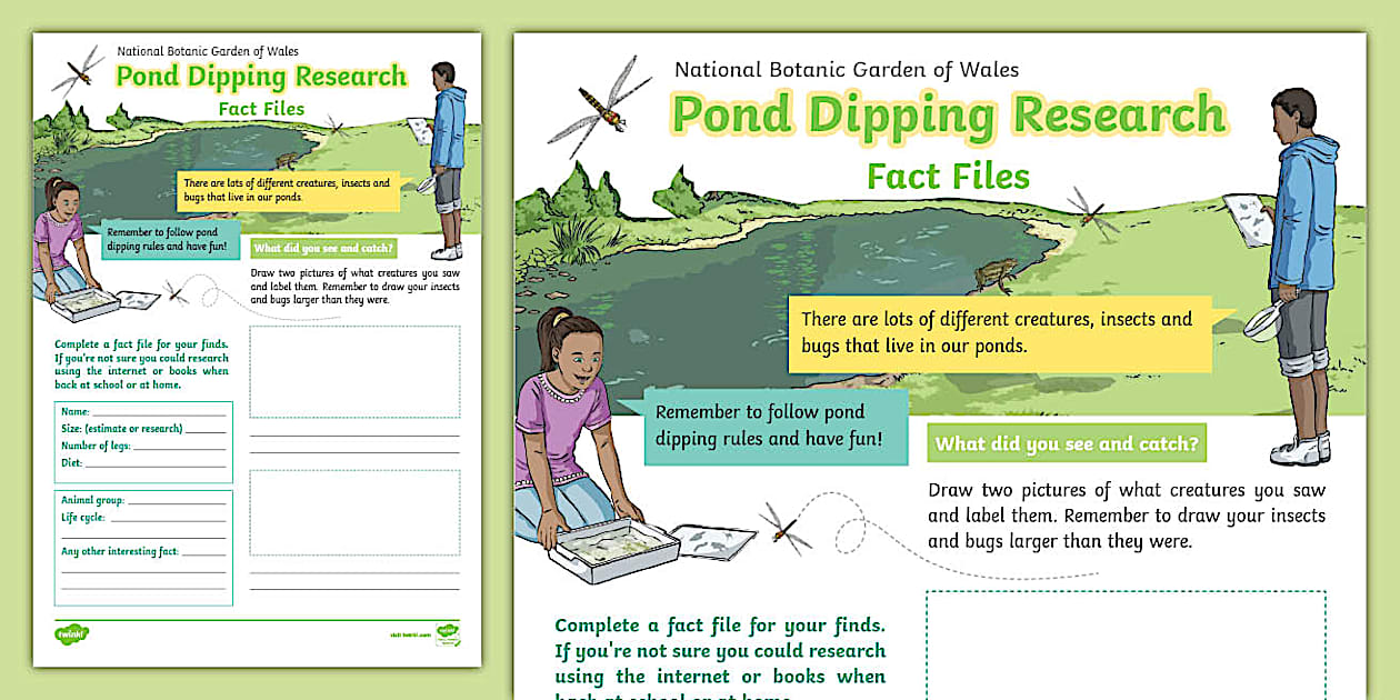 Pond Dipping at The National Botanic Garden of Wales