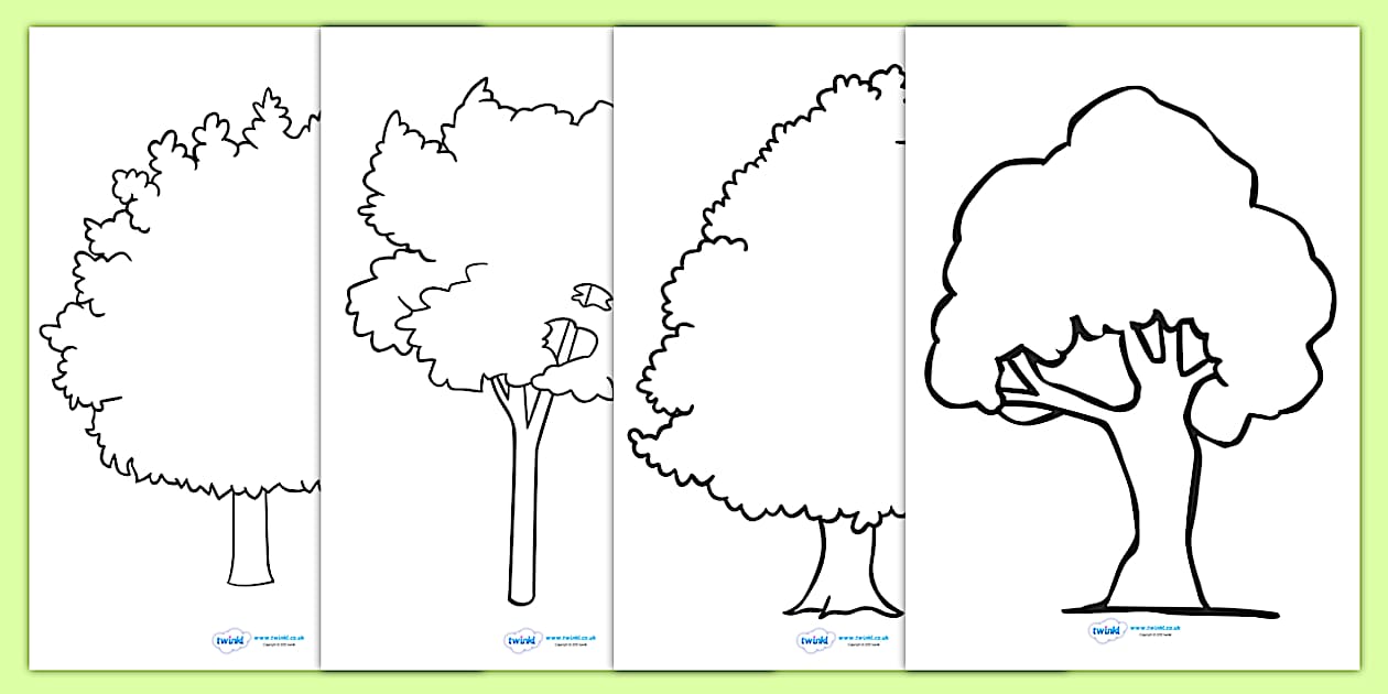 Tree Outline Drawing | Tree Outline Colouring Activity