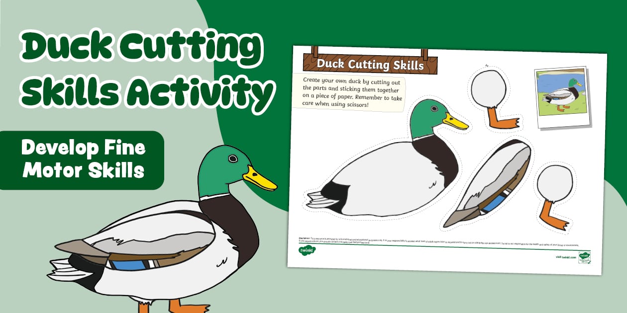 Duck Cutting Skills Activity - KS1 - Twinkl