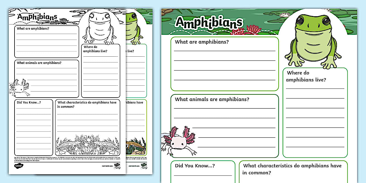 Amphibian Fact File Template,amphibians (teacher made)