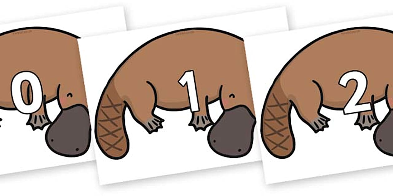 Numbers 0-100 on Platypus (teacher made) - Twinkl