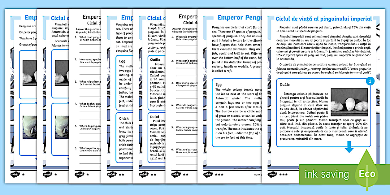 Emperor Penguin Life Cycle Differentiated Reading Comprehension Activity