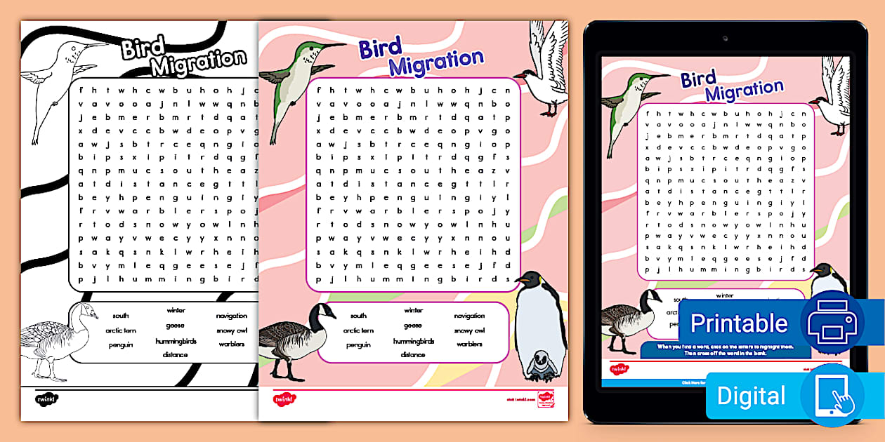 Bird Migration Word Search for K-2nd Grade (Teacher-Made)