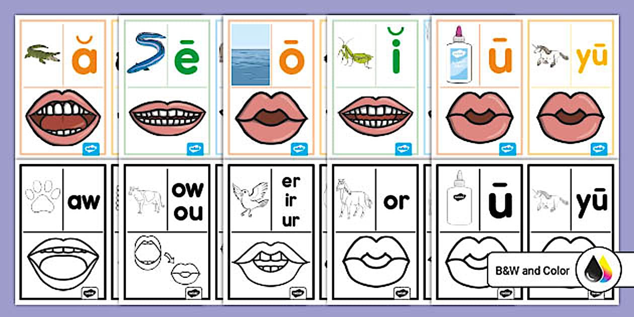 Sound Wall: Vowel Valley Display Cards (teacher made)