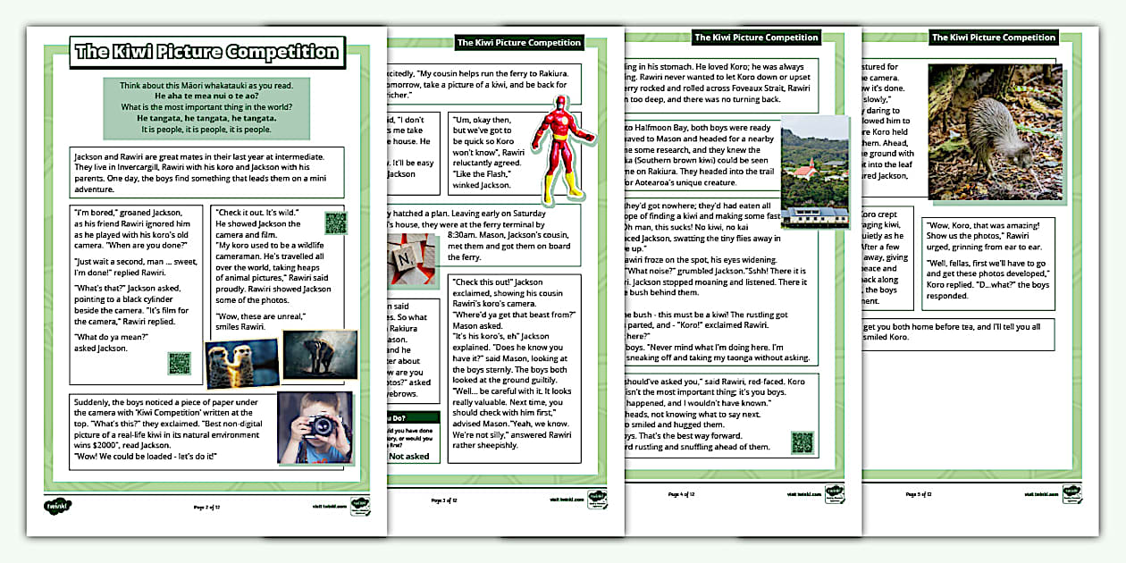 Year 7 and 8 Reading Comprehension - The Kiwi Picture Competition
