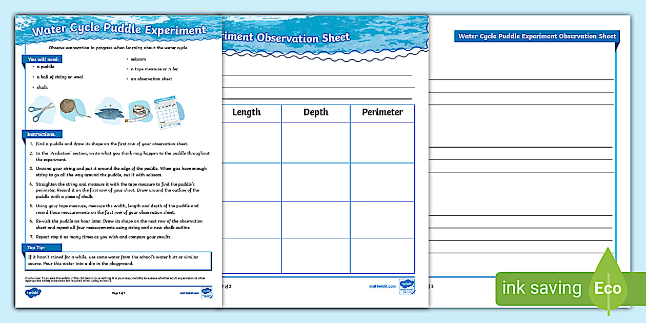 The Water Cycle Puddle Experiment (Teacher-Made) - Twinkl