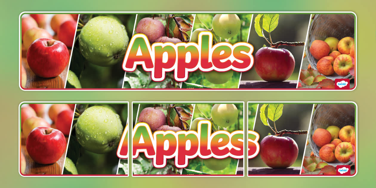 Apples Photo Display Banner (Teacher-Made) - Twinkl