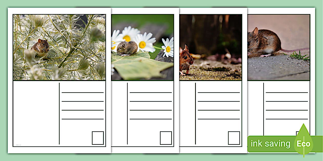 Magnificent Mouse Postcards | Twinkl | KS2 | Writing