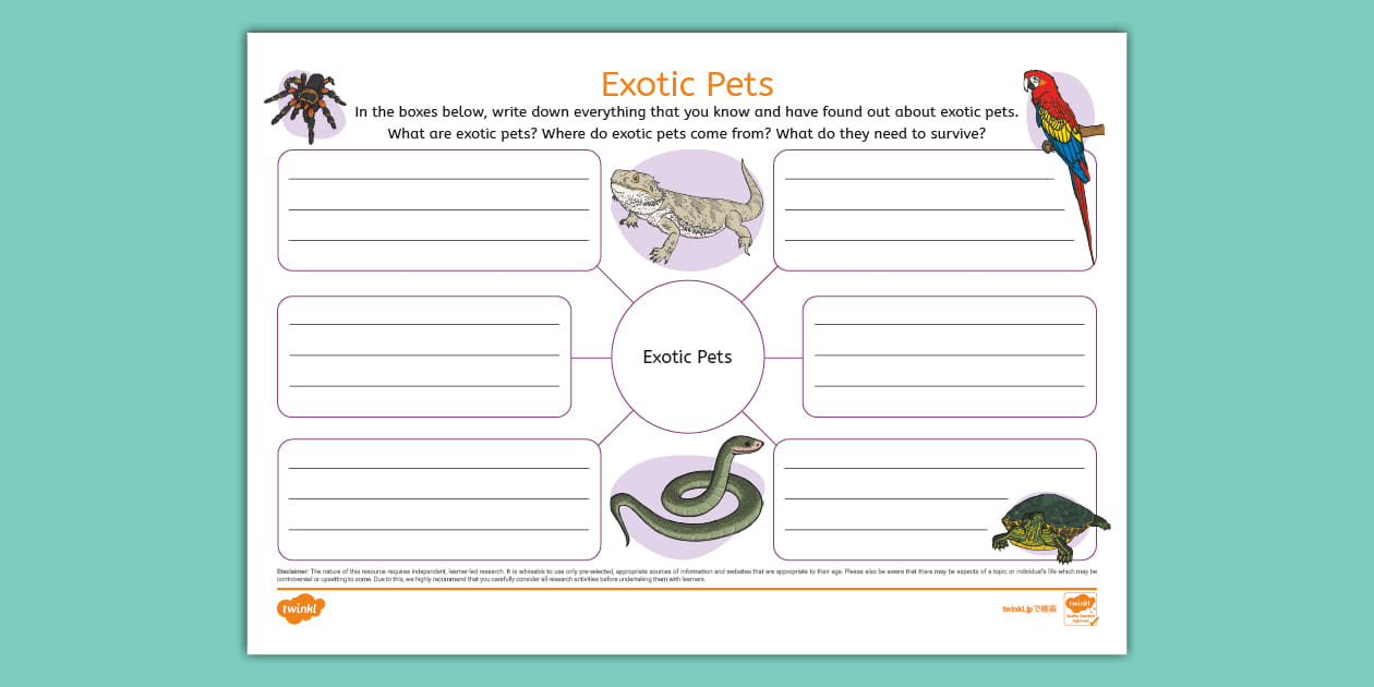 Exotic Pets Mind Map (teacher made) - Twinkl