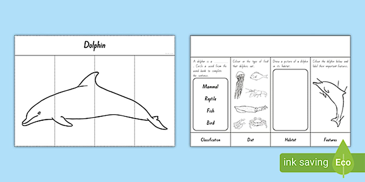 Dolphin Flap Book (teacher made) - Twinkl