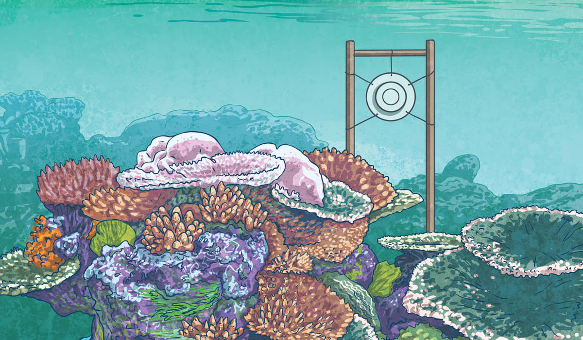 Coral Sounds - Twinkl NewsRoom - Twinkl