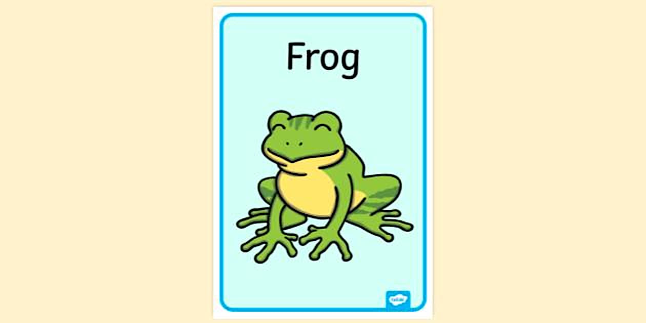 Frog Poster For Kids | Primary Resources (teacher made)