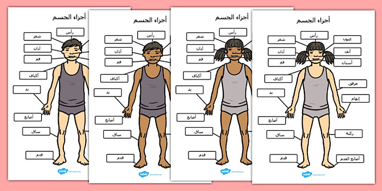 Black and White Parts of the Body A4 Arabic (teacher made)