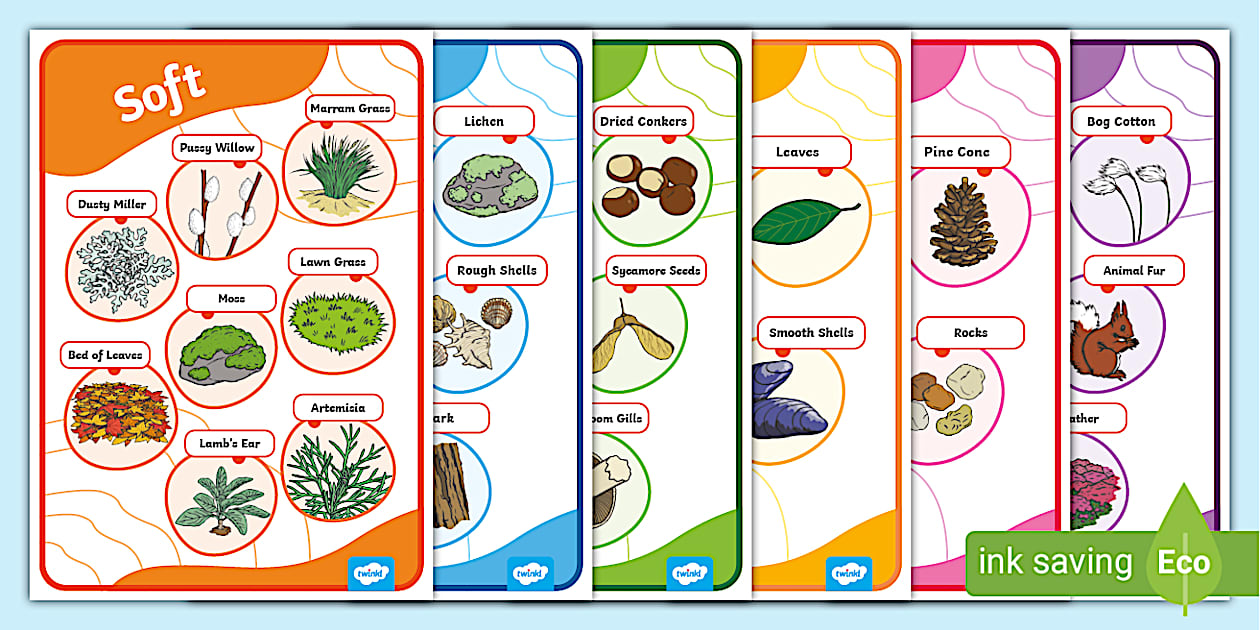 Natural Textures Display Photos (teacher made) - Twinkl