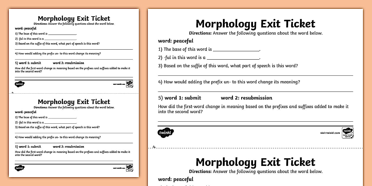 Sixth Grade Morphology Exit Ticket