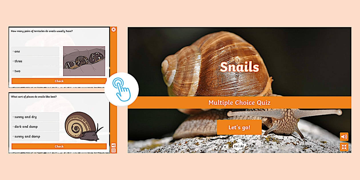 KS1 Snails Interactive Quiz (teacher made) - Twinkl