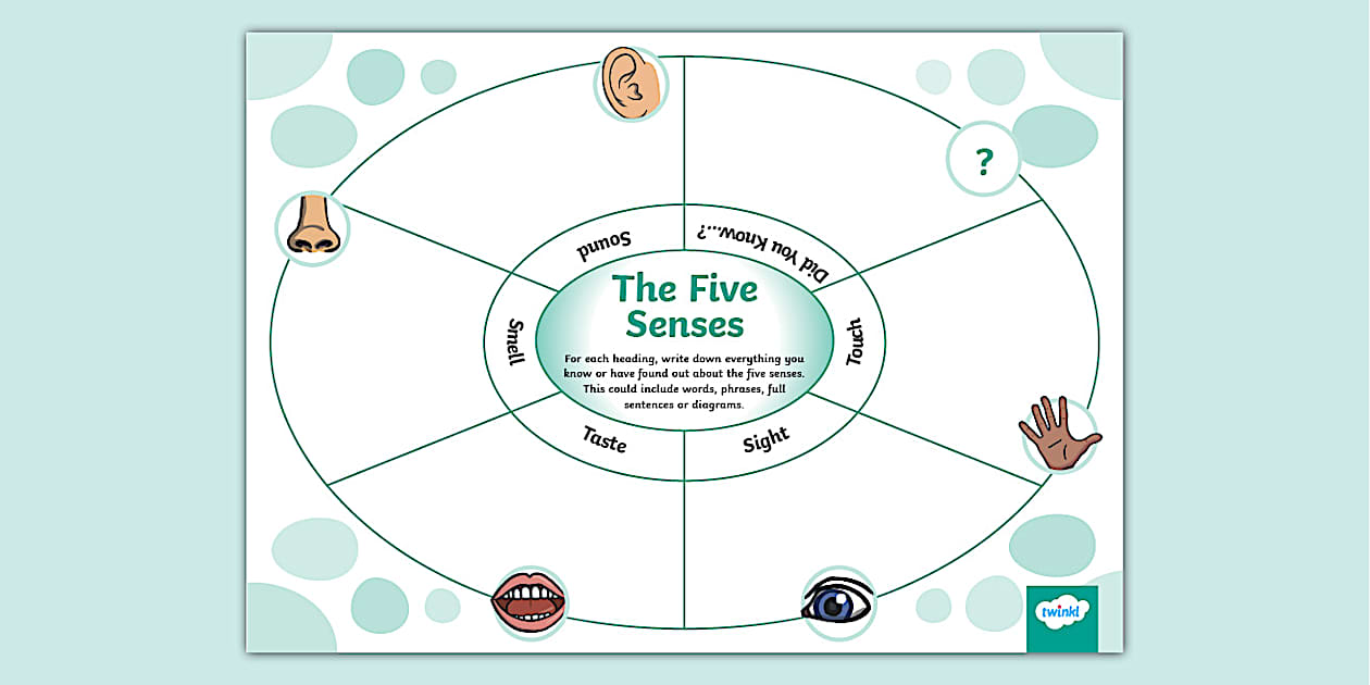Five Senses Around the Table - Twinkl Science (Teacher-Made)