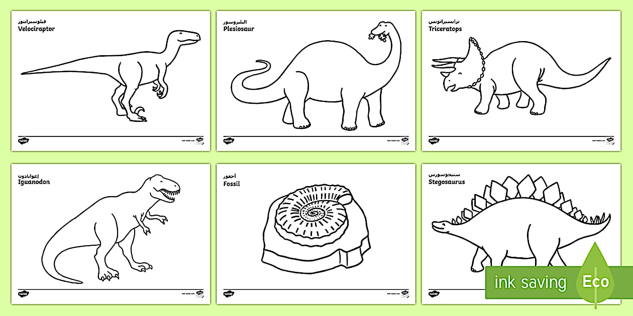 Editable Dinosaurs Colouring Sheets Arabic/English - Twinkl