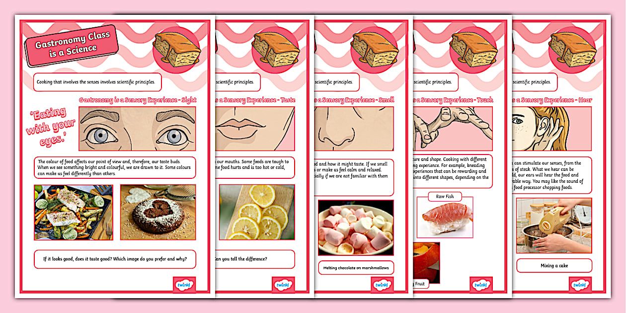 Gastronomy Class Display Posters (teacher made) - Twinkl