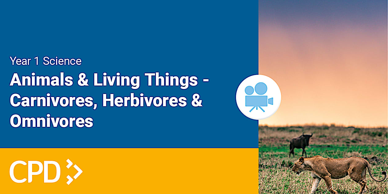Science CPD: How to teach carnivores, herbivores & omnivores