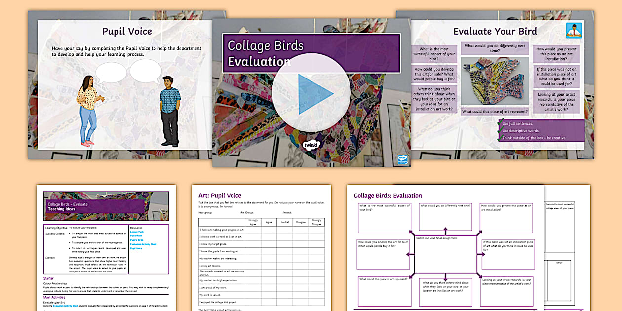 Collage Birds Lesson 6: Evaluation (teacher made) - Twinkl
