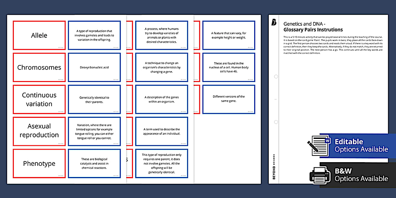 Editable Genetics and DNA Pairs Glossary Activity - Twinkl