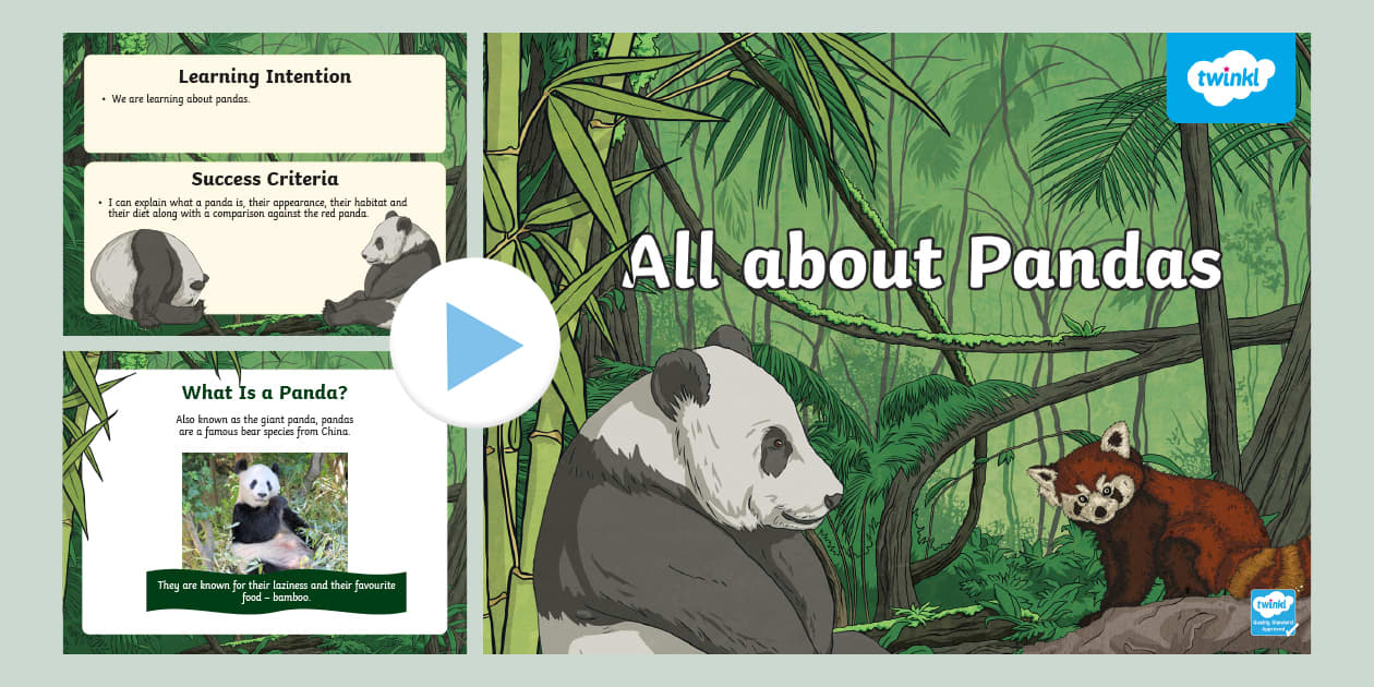 All About Pandas PowerPoint - Year 4 Science - Twinkl