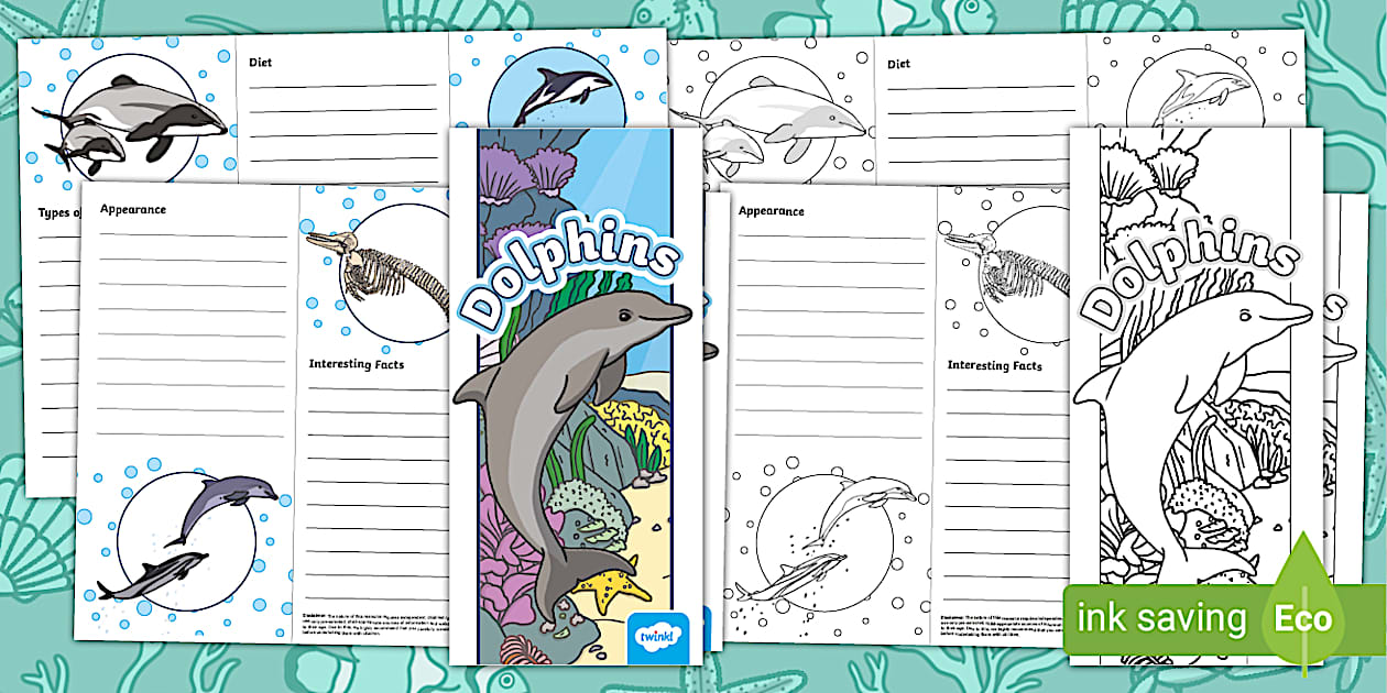 Dolphins Leaflet Template (teacher made) - Twinkl