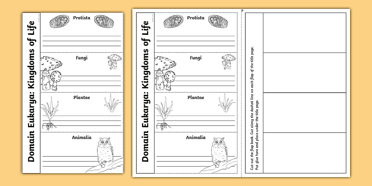 Sixth Grade Kingdoms of Life Taxonomy Flap Book - Twinkl