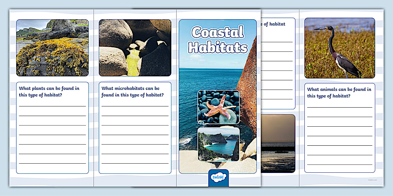 Coastal Habitats Leaflet Template (teacher made) - Twinkl