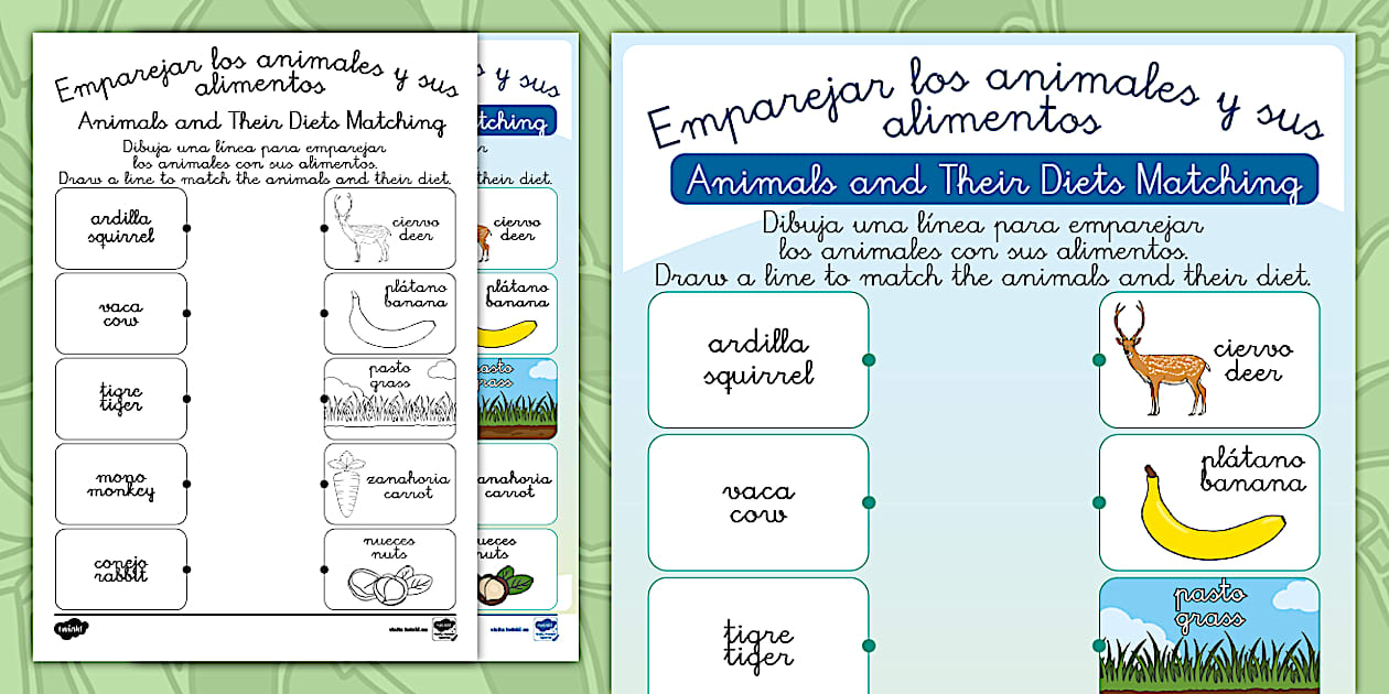 Ficha de Emparejar: Los Animales y sus Alimentos | Animals and Their Diet