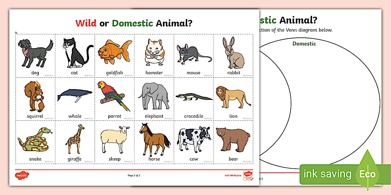 Wild or Domestic Animal? Sorting Activity (teacher made)