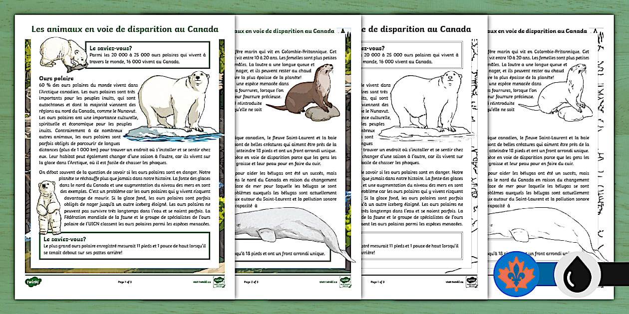 Canada's Endangered Animals Fact File French (teacher made)