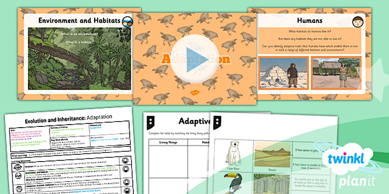 Science: Evolution and Inheritance: Adaptation Year 6 Lesson Pack 2