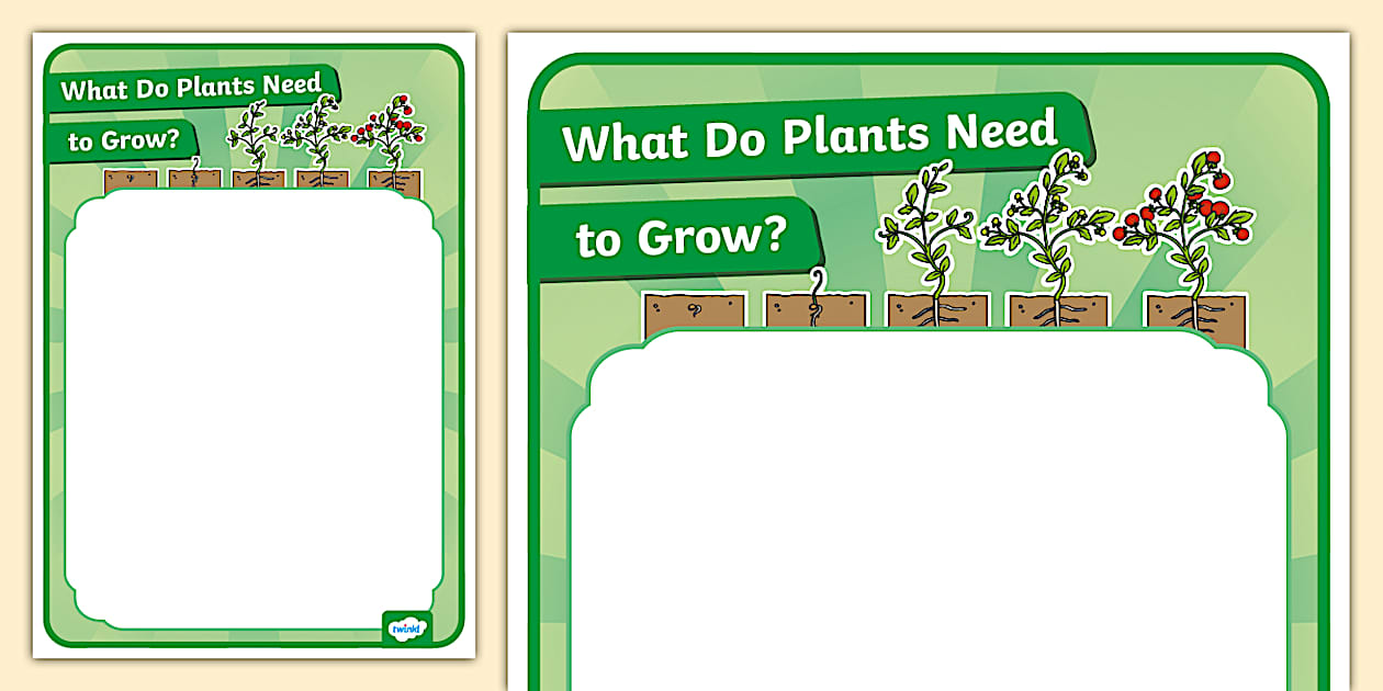 What Do Plants Need to Grow? Display Poster (teacher made)