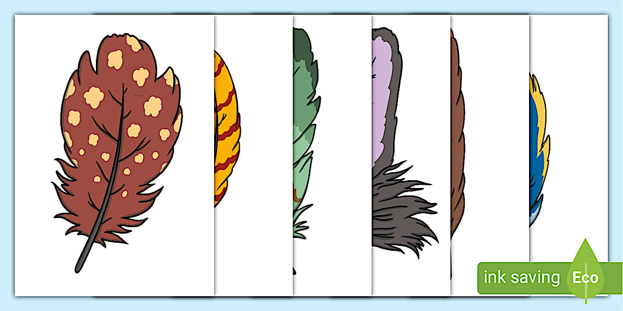 Feather Display Cut-Outs - Twinkl - KS1 (teacher made)