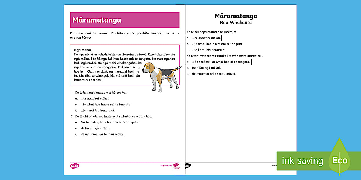 Pets Reading Comprehension Worksheet / Worksheet - Te Reo Māori