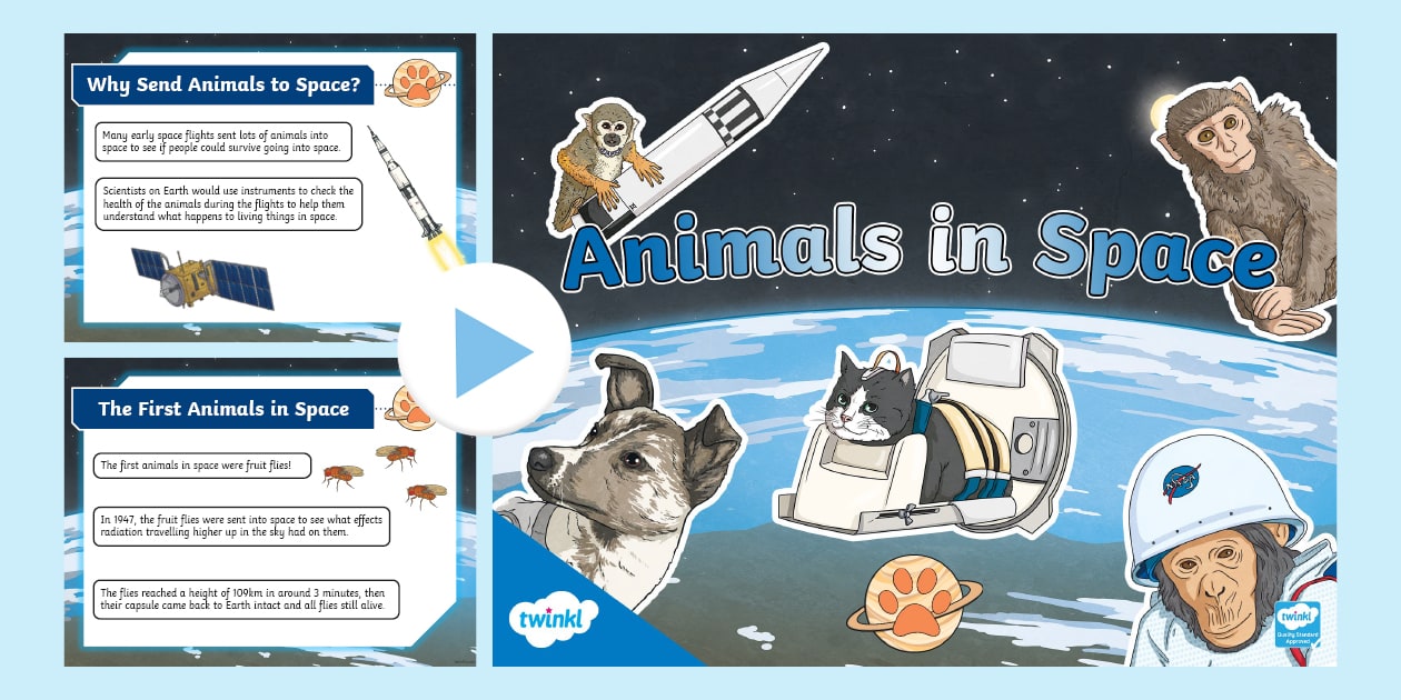 Animals in Space PowerPoint (Lehrer gemacht) - Twinkl