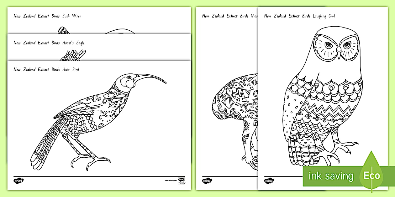 New Zealand Resource- Extinct Birds Colouring Pages - Twinkl