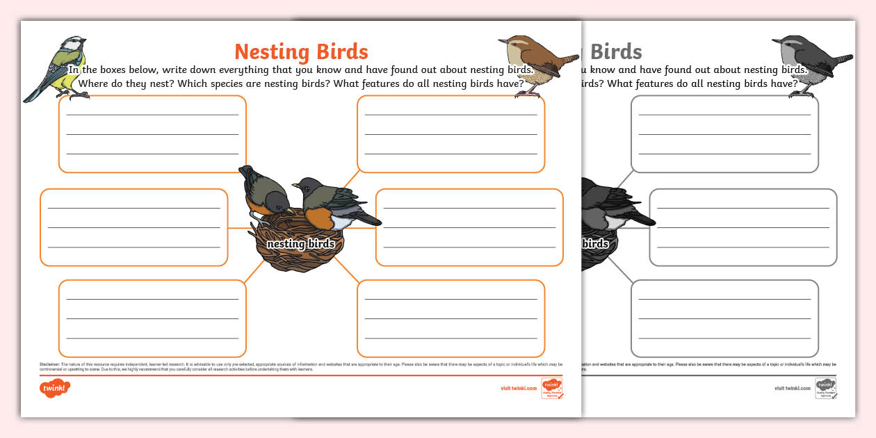 Nesting Birds Mind Map Template (teacher made) - Twinkl